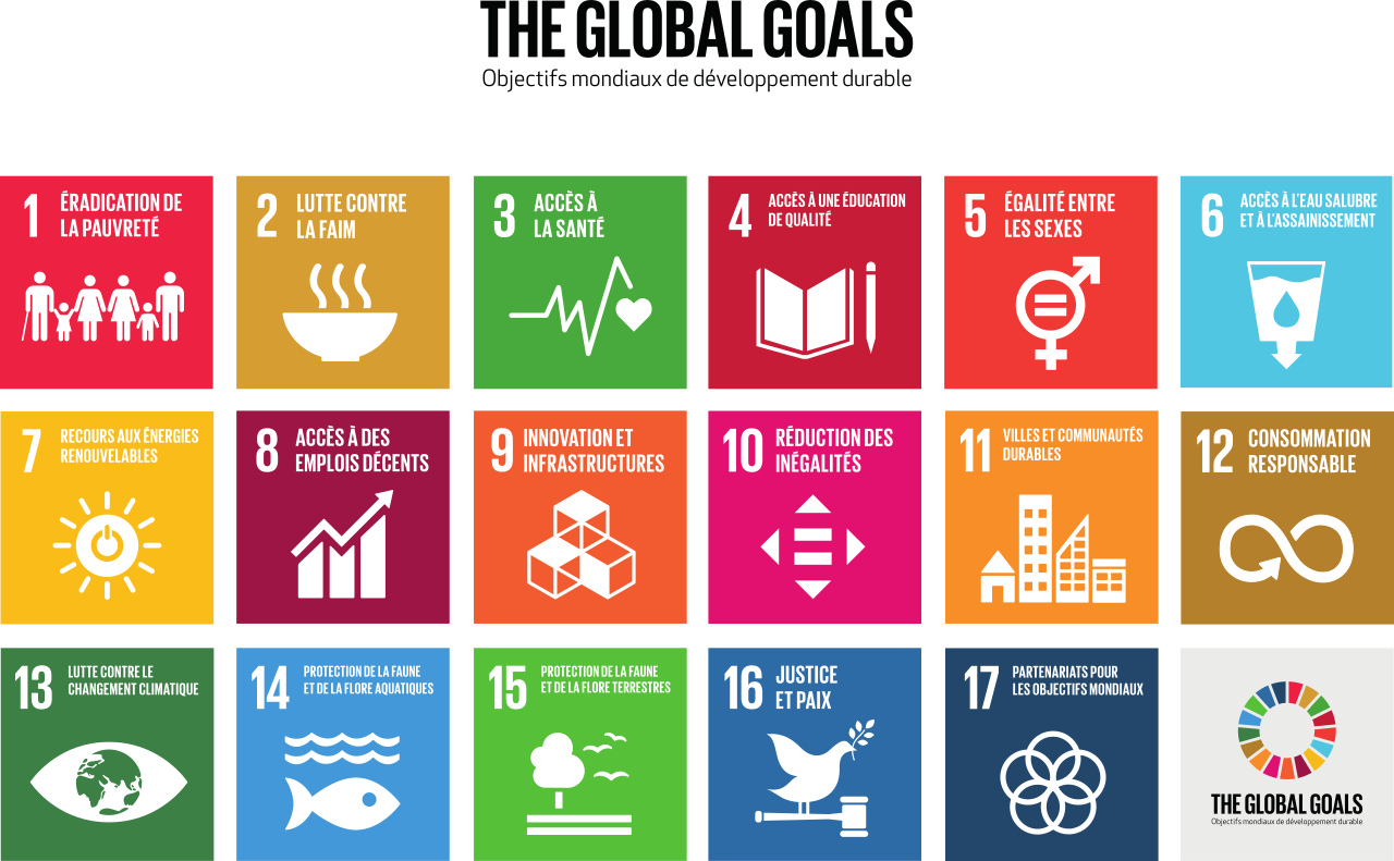 Alignement avec les ODD – My-SBM Design